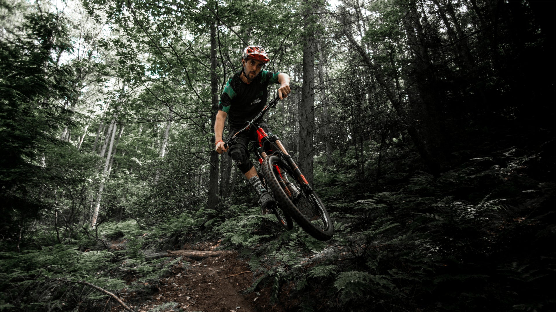 Scott Woolley - Chia Charge